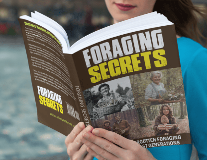 Foraging Secrets Book – Patriot Powered Products