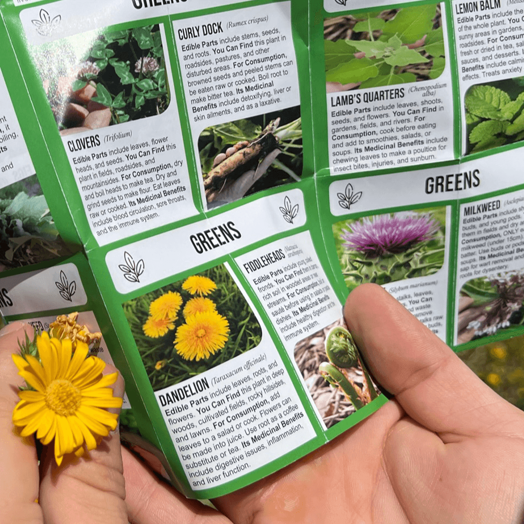 The Foldable Forager – Patriot Powered Products